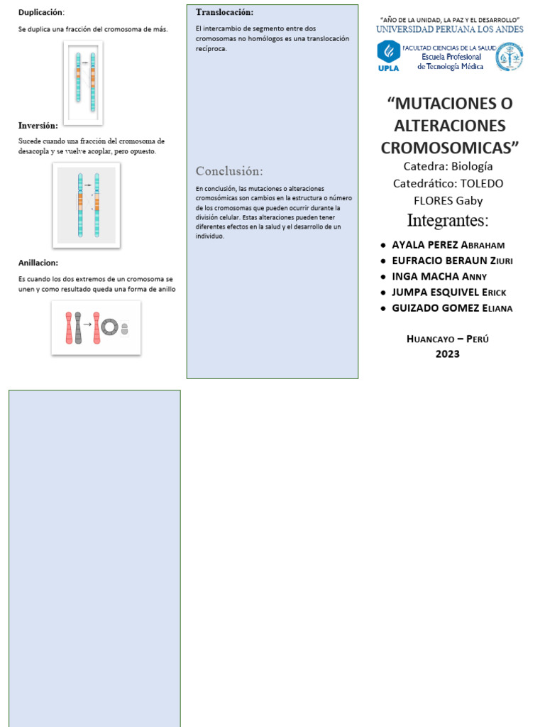 Cromosoma | PDF | Mutación | Cromosoma