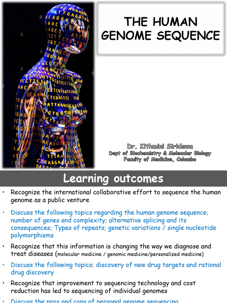Human Genome Sequence | PDF | Human Genome | Genome