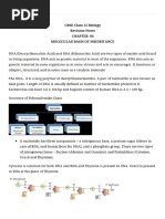 Molecular Basis of Inheritance - Super Notes by Seep Pahuja | PDF ...