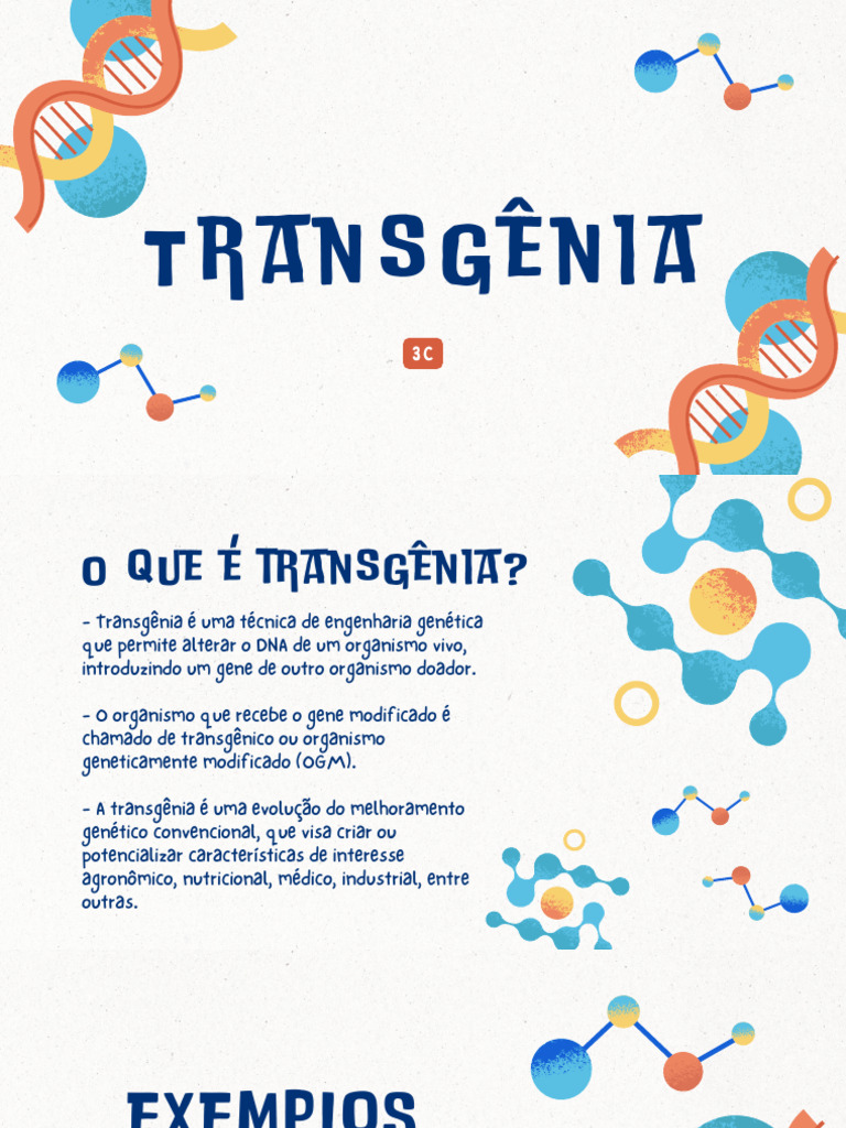 Transgênia 20231121 082510 0000 | PDF | Transgênicos | Engenharia Genética