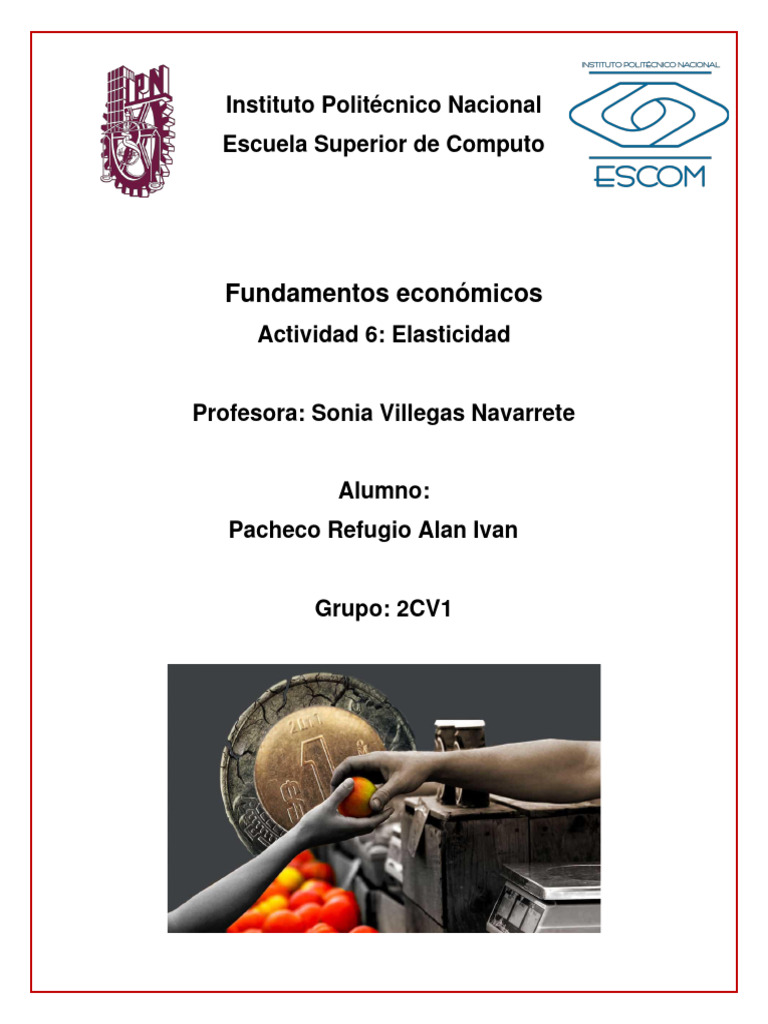Act 6 Elasticidad | PDF