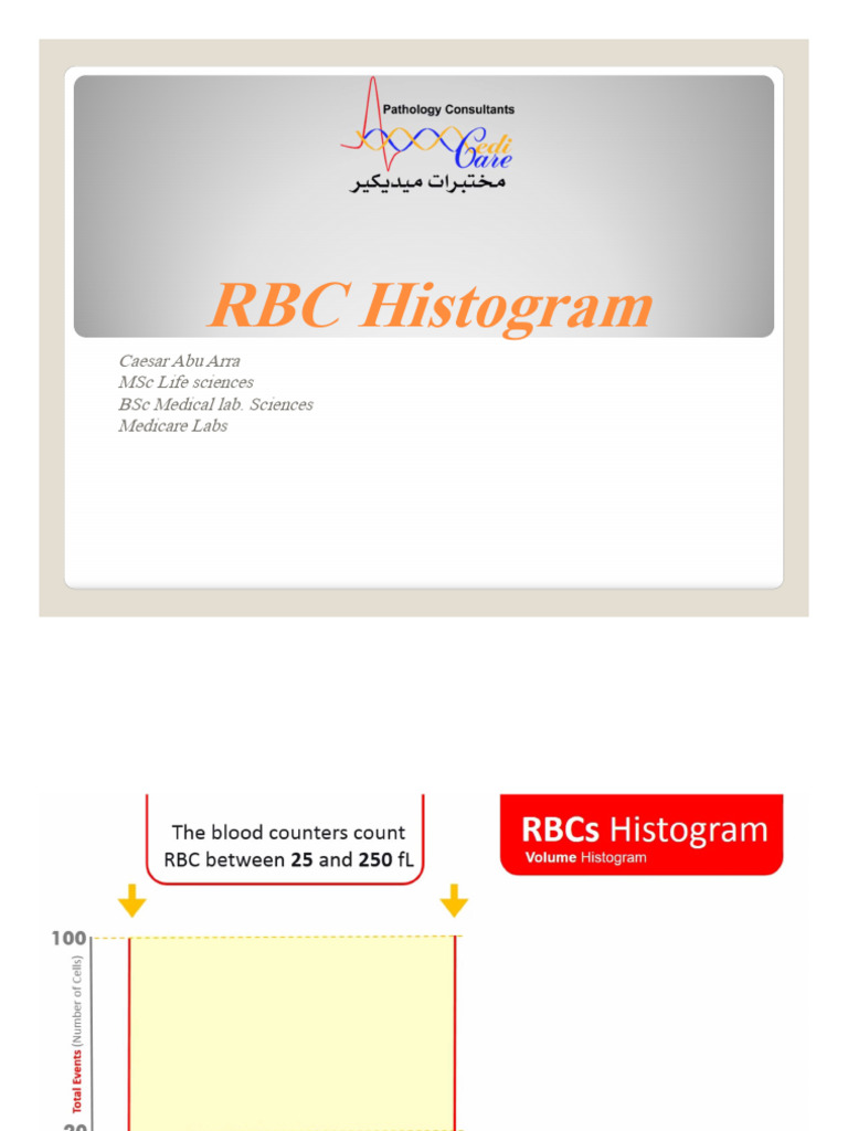 Rbchistogram 200512223721 | PDF