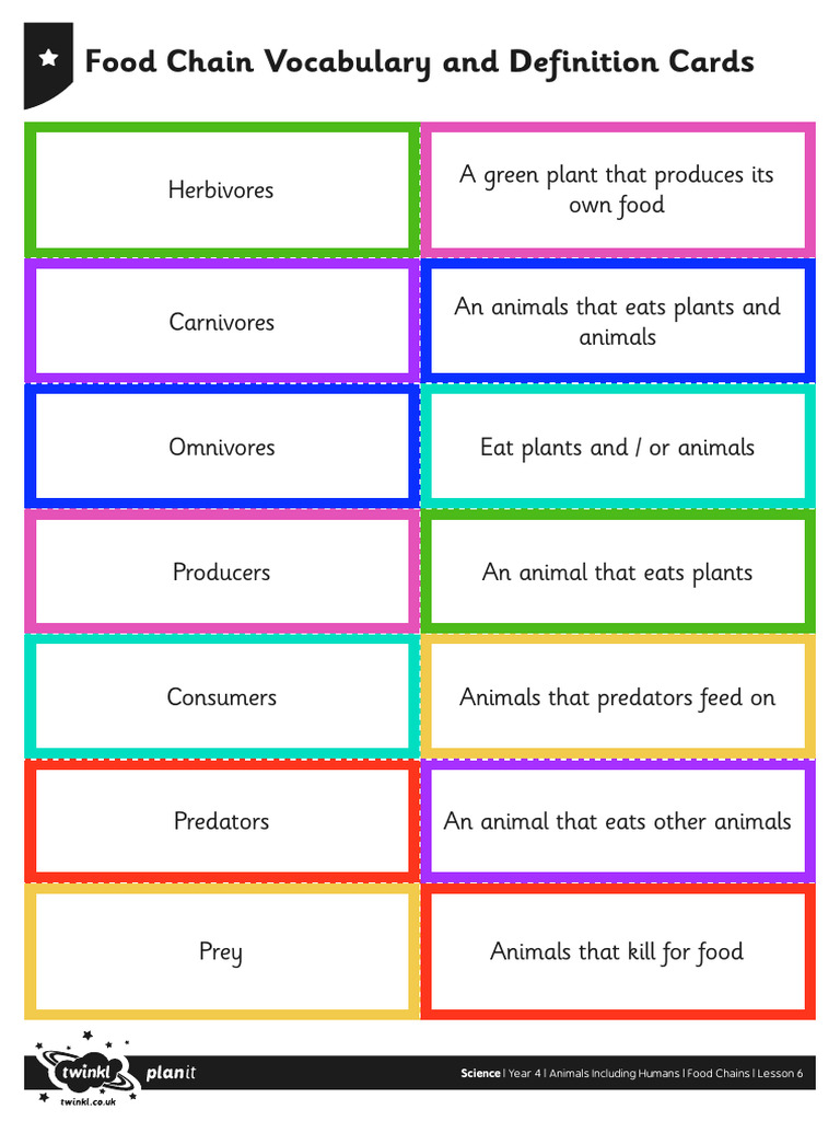 food-chain-vocabulary-and-definition-cards | PDF | Predation | Herbivore