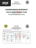 Comprehensive-Barangay-Youth-Development-Plan-CBYDP 2024-2026 | PDF | Sustainability