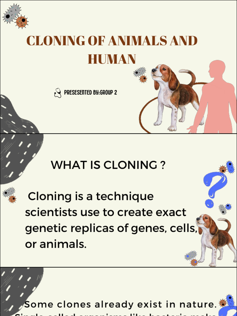 Group 2 Cloning of Animals and Humans | PDF | Cloning | Genetics Group 2 Cloning of Animals and Humans | PDF | Cloning | Genetics
