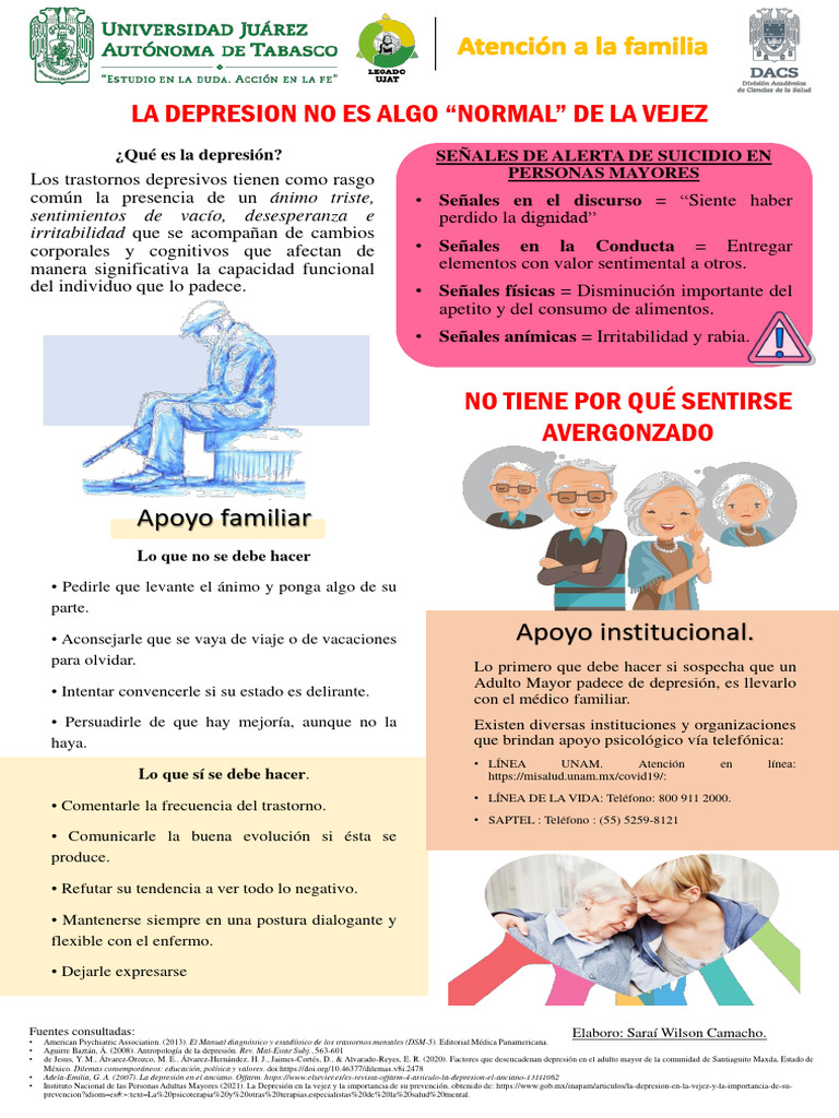 Depresión en Adultos Mayores: Guía de Apoyo | PDF | Depresión (estado ...