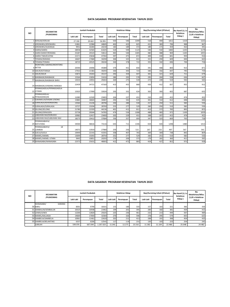 Sasaran Kabupaten 2023 | PDF
