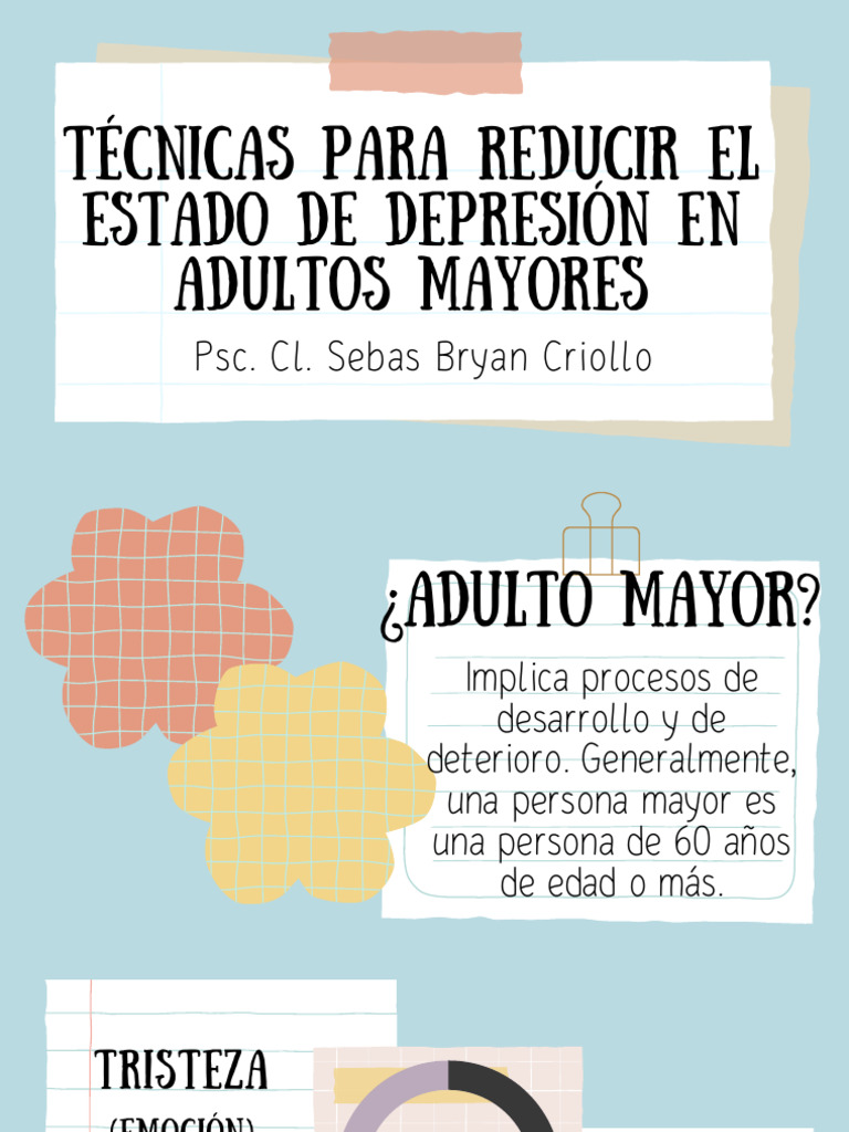 Técnicas para Reducir El Estado de Depresión en Adultos Mayores - Sebas Bryan Criollo | PDF