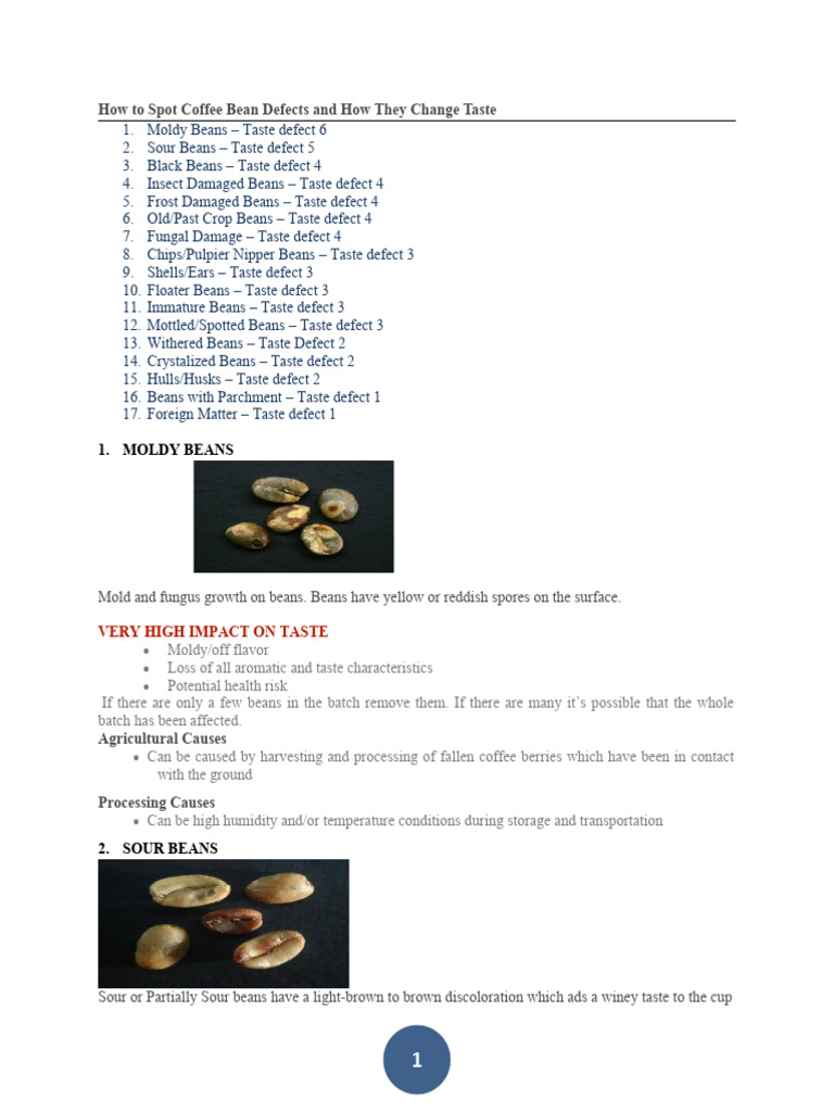 How To Spot Coffee Bean Defects and How They Change Taste | PDF ...
