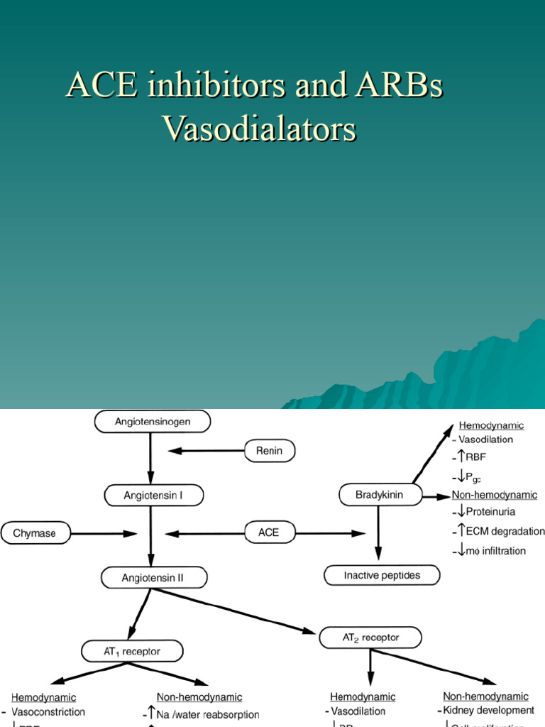 RAAS Drugs: ACE Inhibitors & ARBs | PDF | Angiotensin | Clinical Medicine