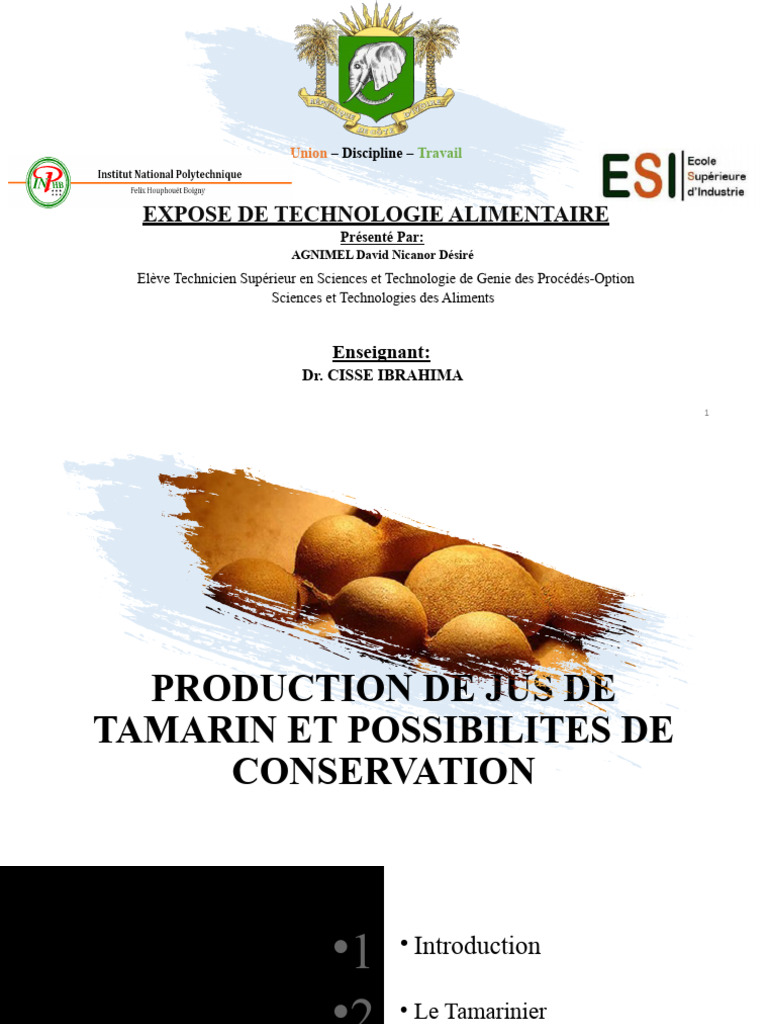 Tamarin | PDF | Jus | Régime et nutrition
