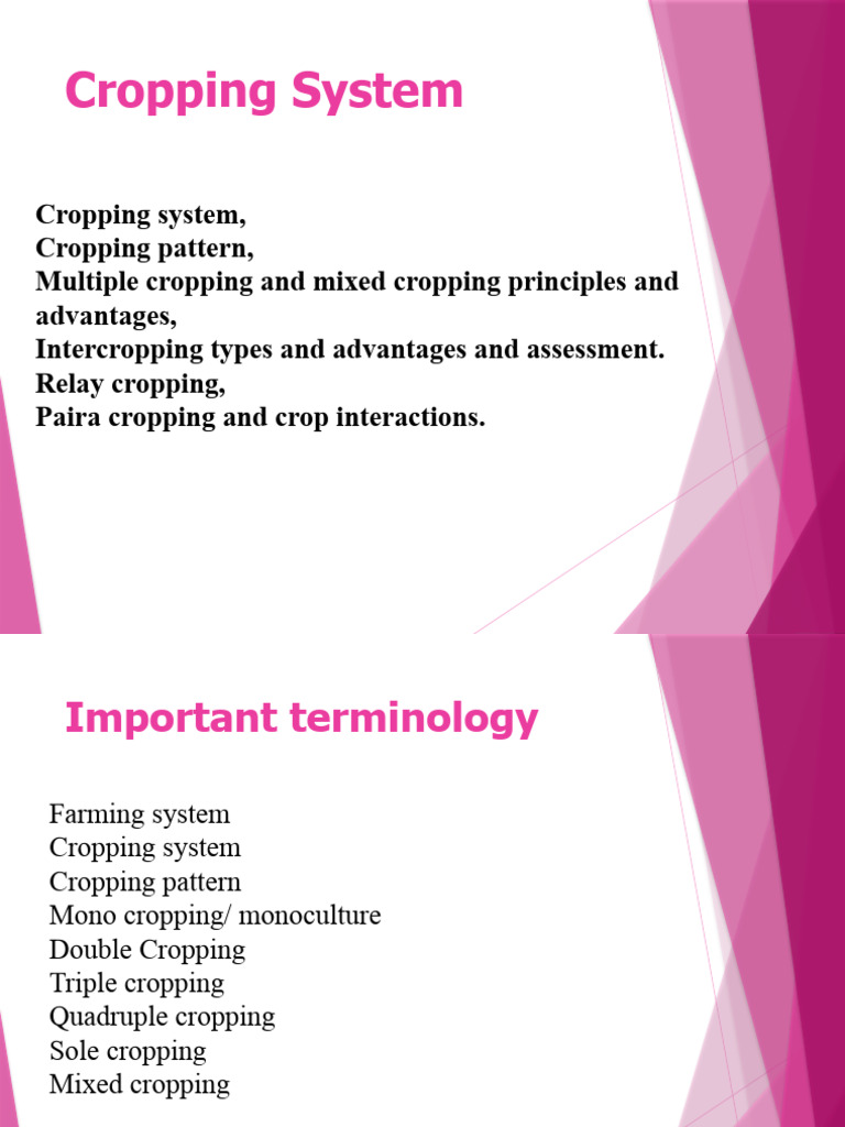 Cropping Pattern | PDF | Crops | Agriculture