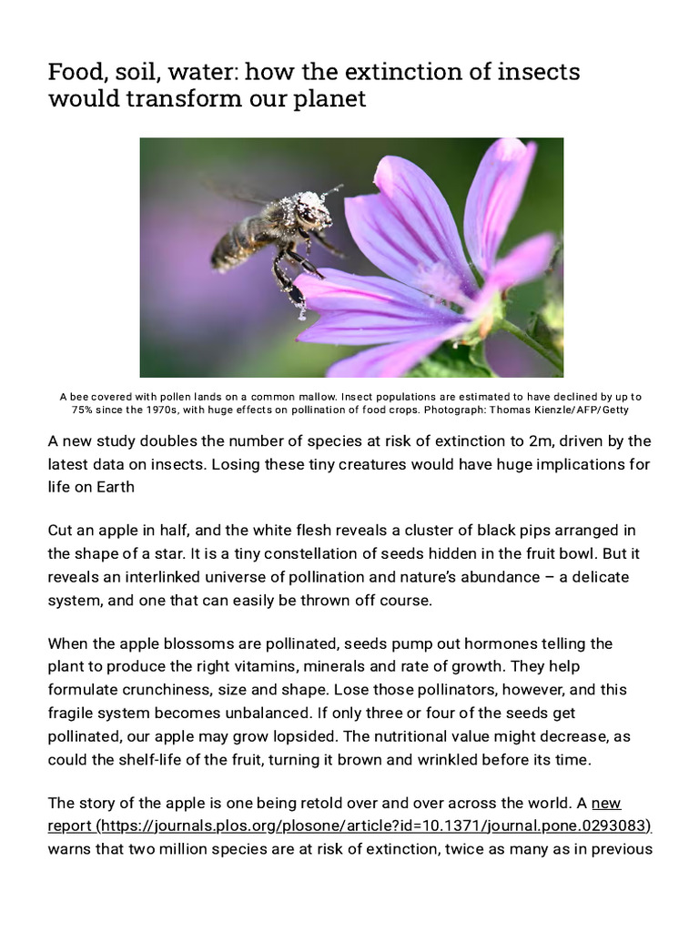 Food, Soil, Water - How The Extinction of Insects Would Transform | PDF ...