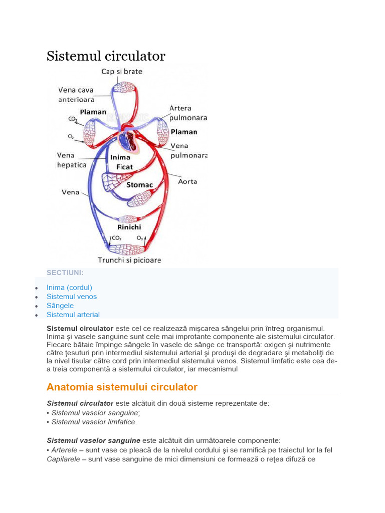 Sistemul Circulator | PDF