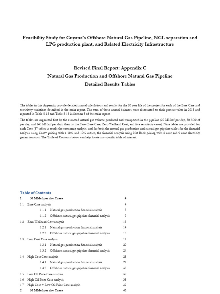 3-Energy Narrative - Guyana NG Feasibility Study - Revised Final Report - Appendix C - Final - 0 ...