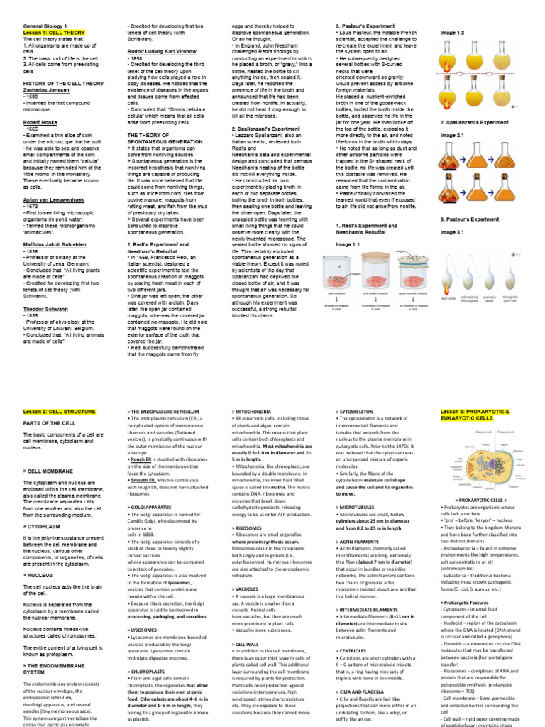 Understanding Cell Theory and Structure | PDF | Cell (Biology) | Endoplasmic Reticulum