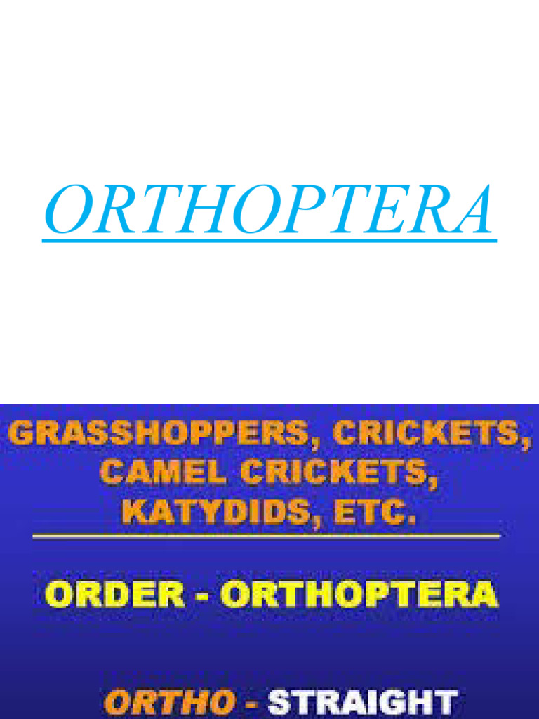 Characteristics of Orthoptera | PDF | Foreign Language Studies | Home ...