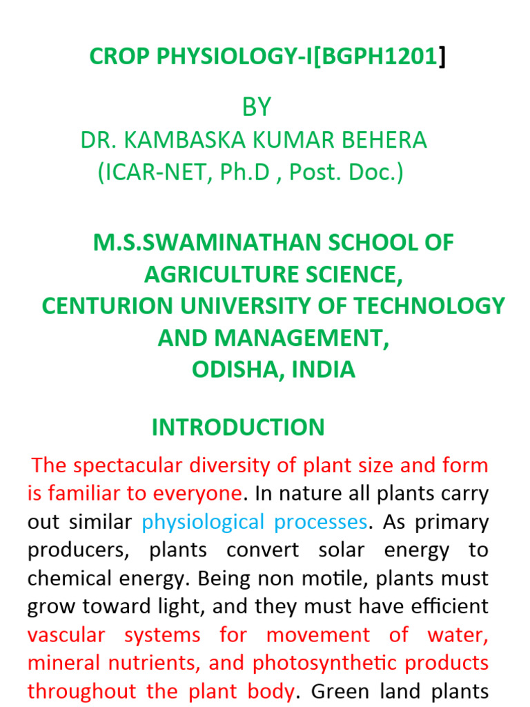 Crop-1 1 1 | PDF | Photosynthesis | Plants