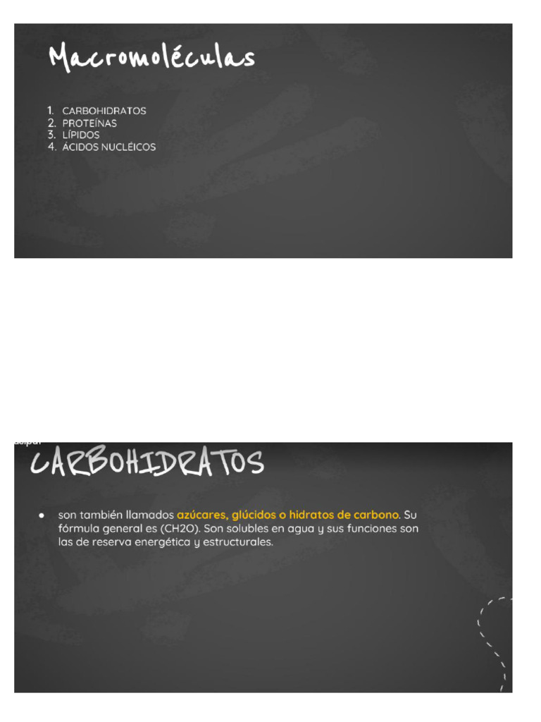 Macromoleculas | PDF