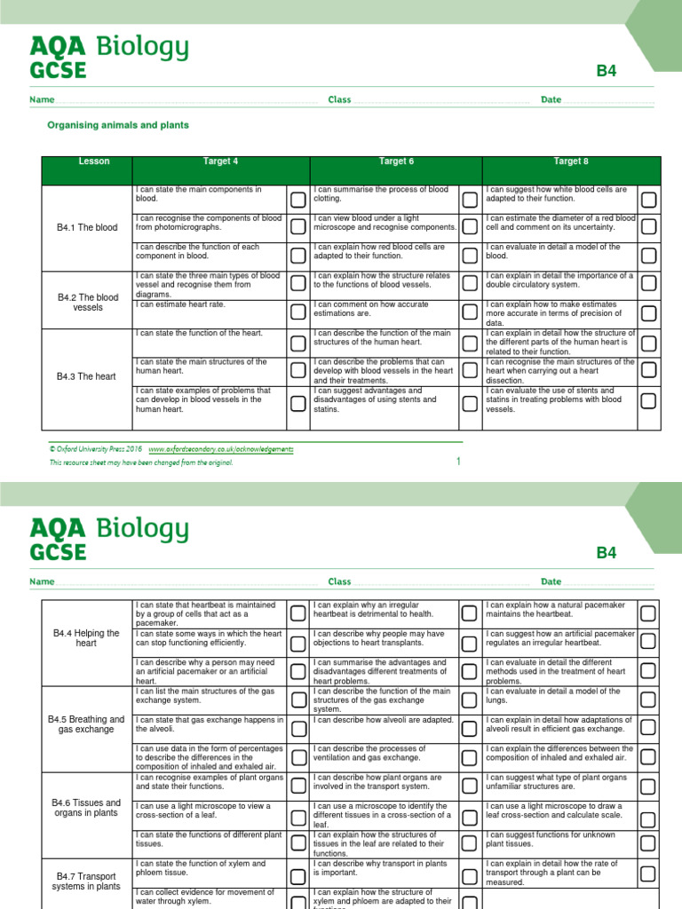B4 Checklist | PDF | Stoma | Leaf