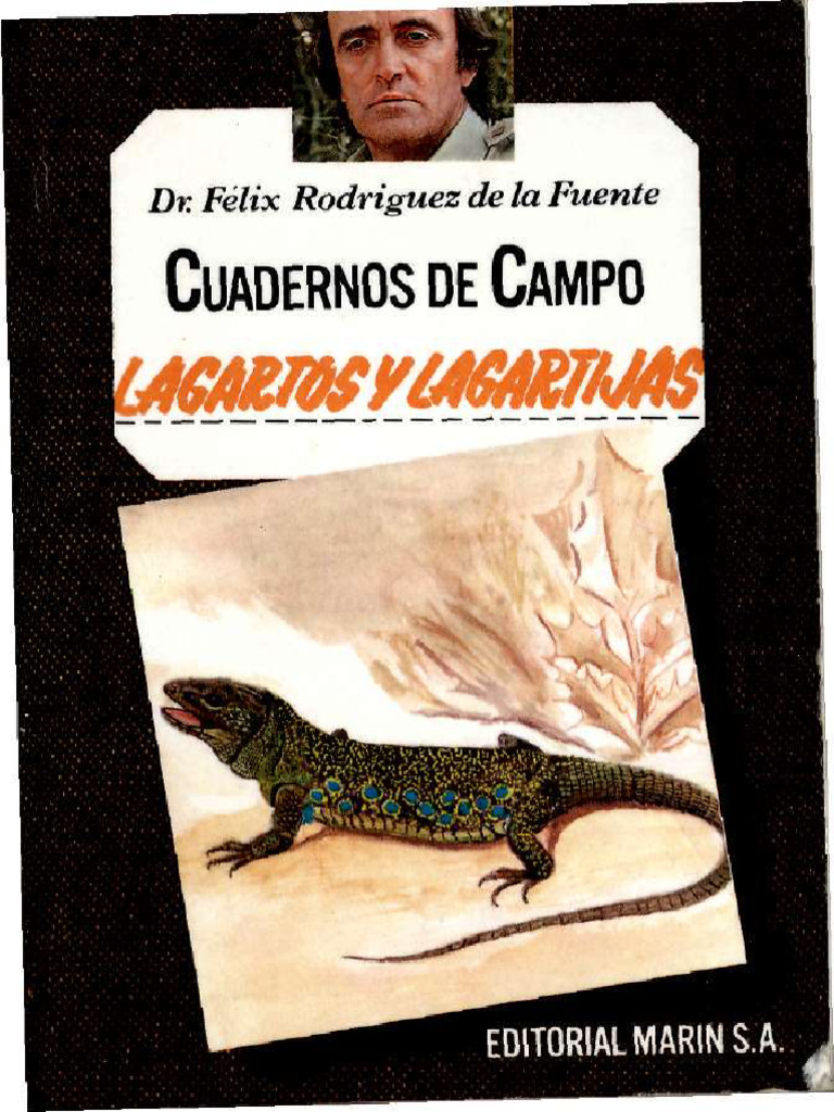 Cuadernos de Campo. Lagartos y Lagartijas. Félix Rodríguez de La Fuente ...