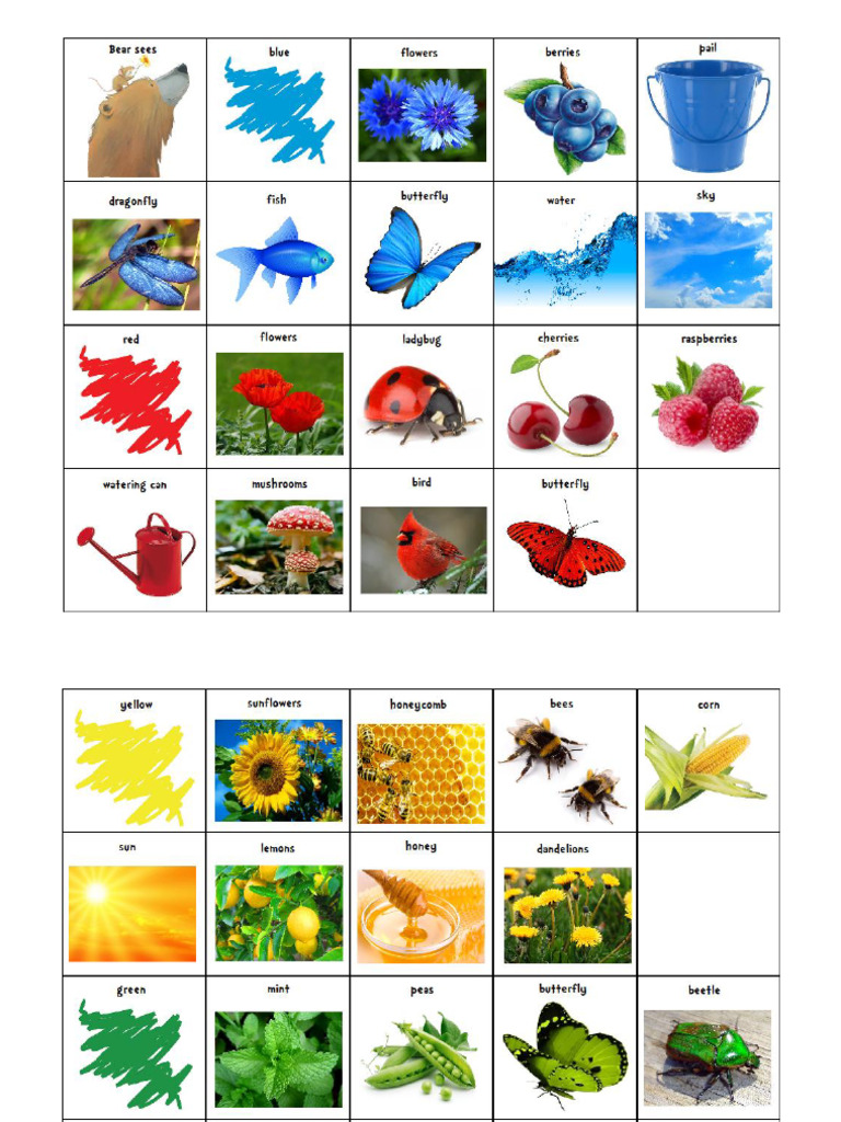 Bear Sees Colors | PDF