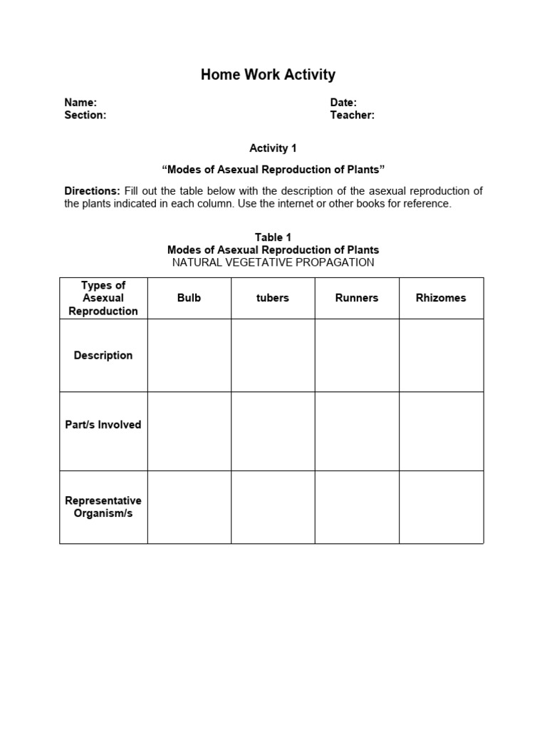 Home Work Activity | PDF