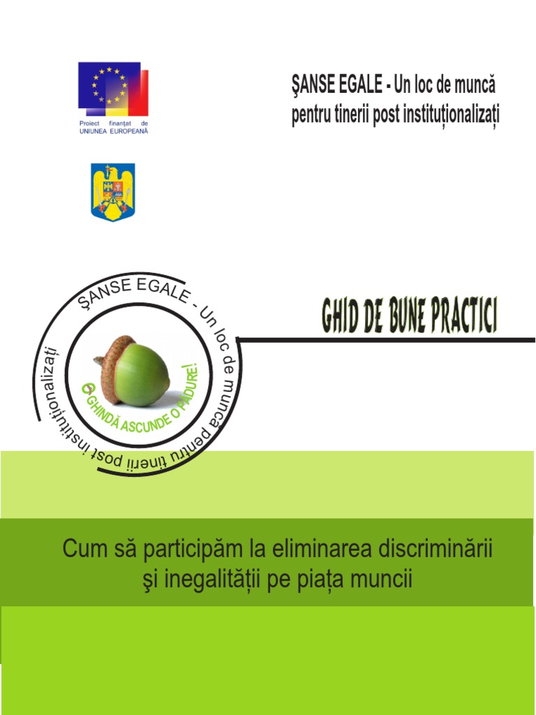 Ghid de Bune Practici | PDF
