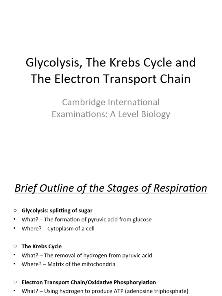 Glycolysis, Krebs Cycle, and ETC Overview | PDF | Cellular Respiration ...