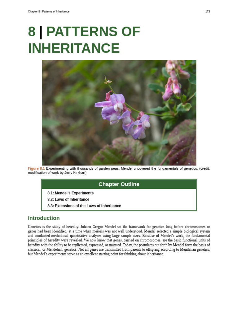 Inheritance Chapter Pdf Dominance Genetics Zygosity