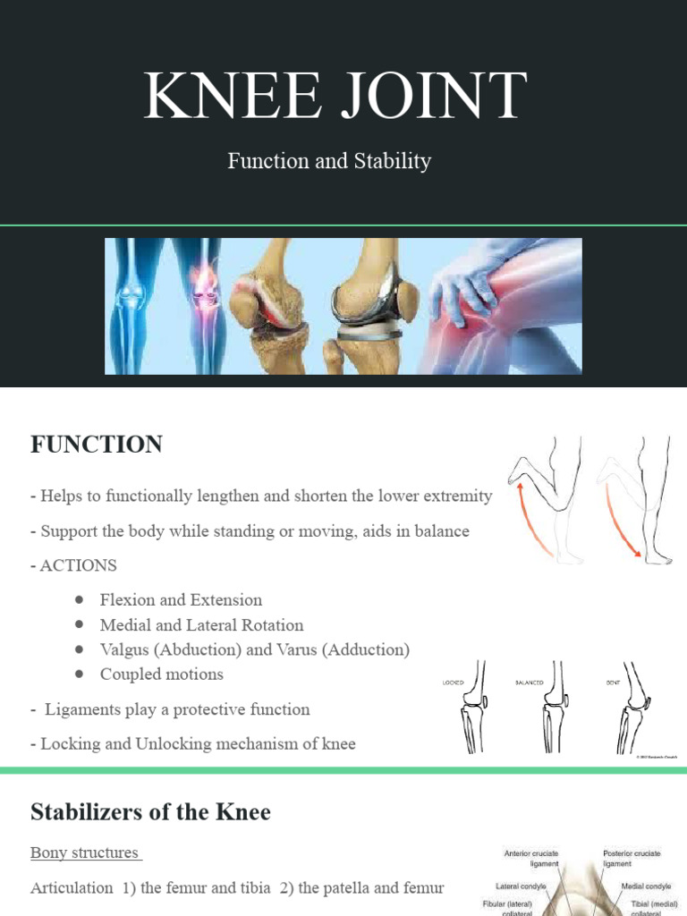 Knee Joint - Function and Stability | PDF | Wellness