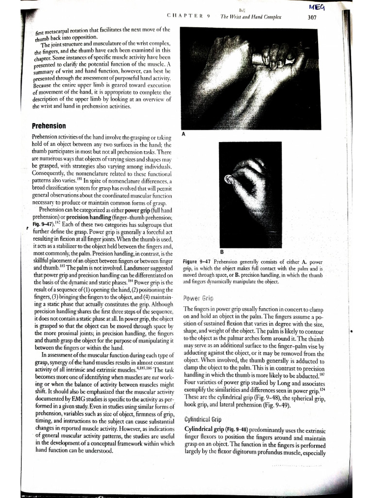 Prehension | PDF