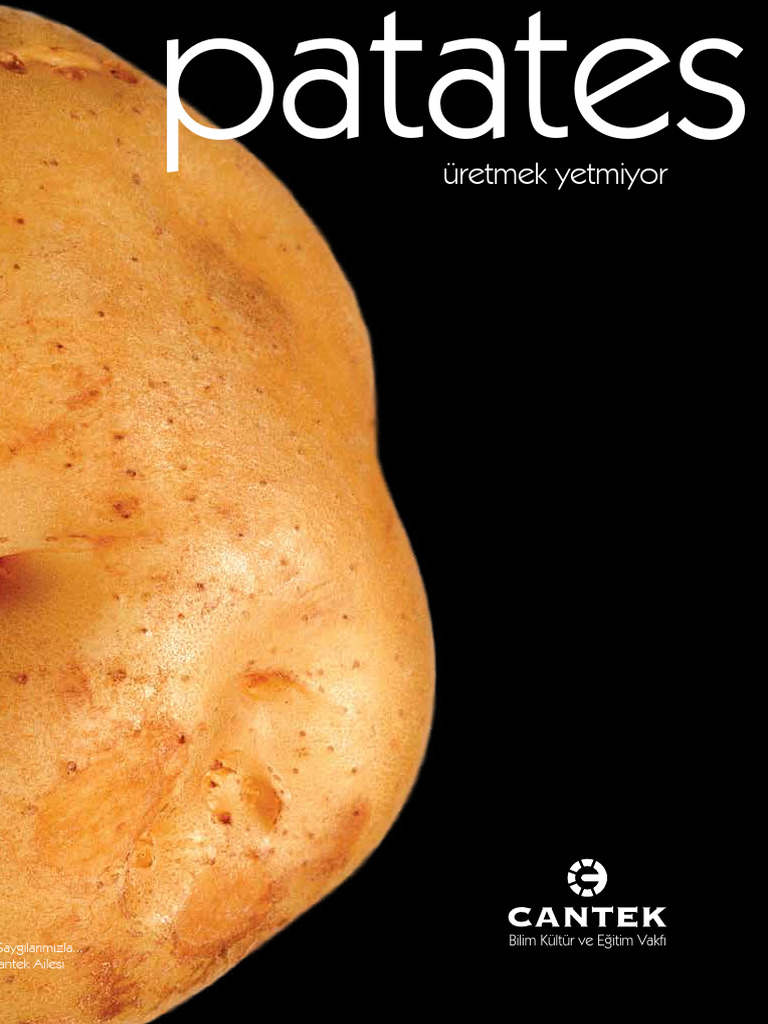 Patates | PDF
