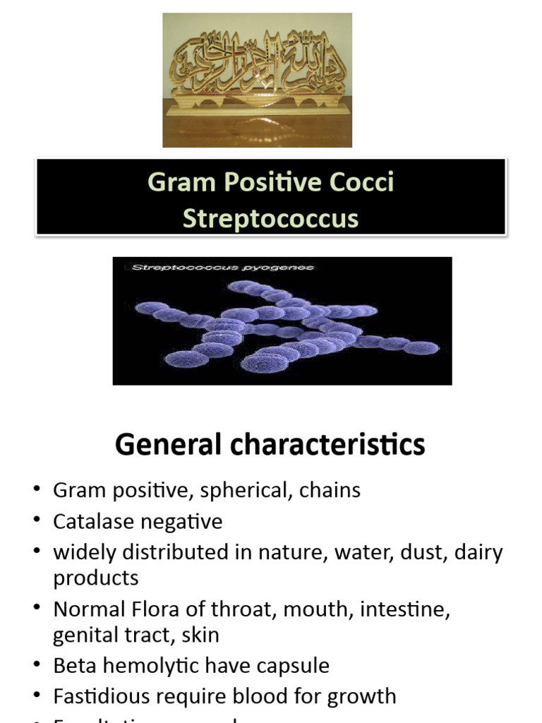 Streptococci | PDF | Streptococcus | Infection