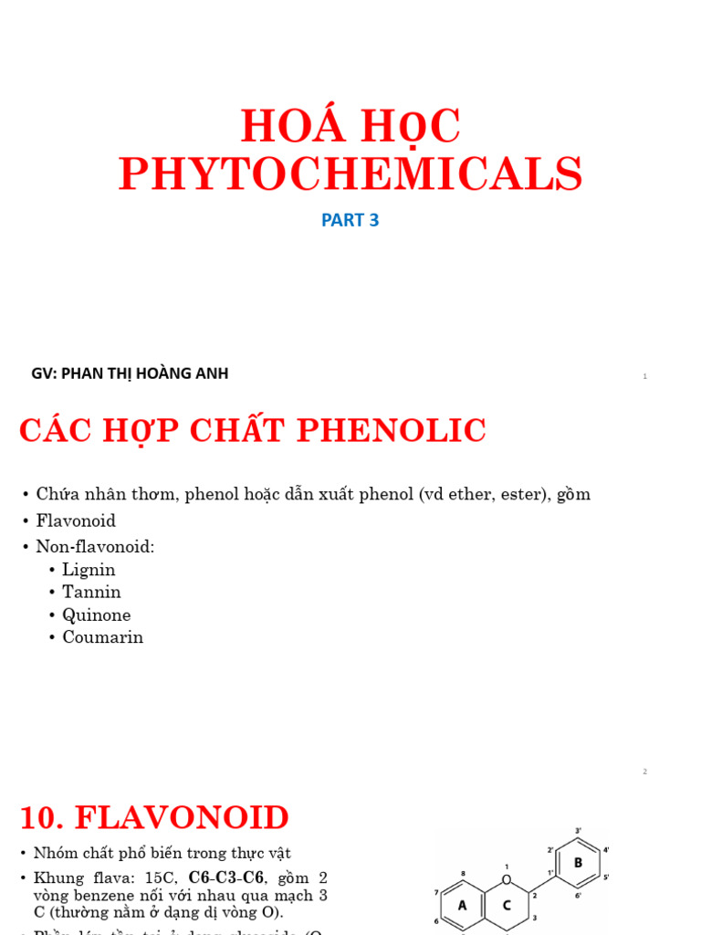 Hoá Học Phytochemicals - Part 3 - 2023 | PDF