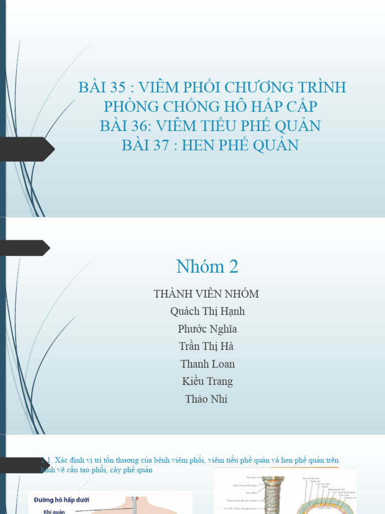 Bài 35.36.37, Viêm Phổi, Viêm Tiểu Phế Quản, Hen Phế Quản | PDF