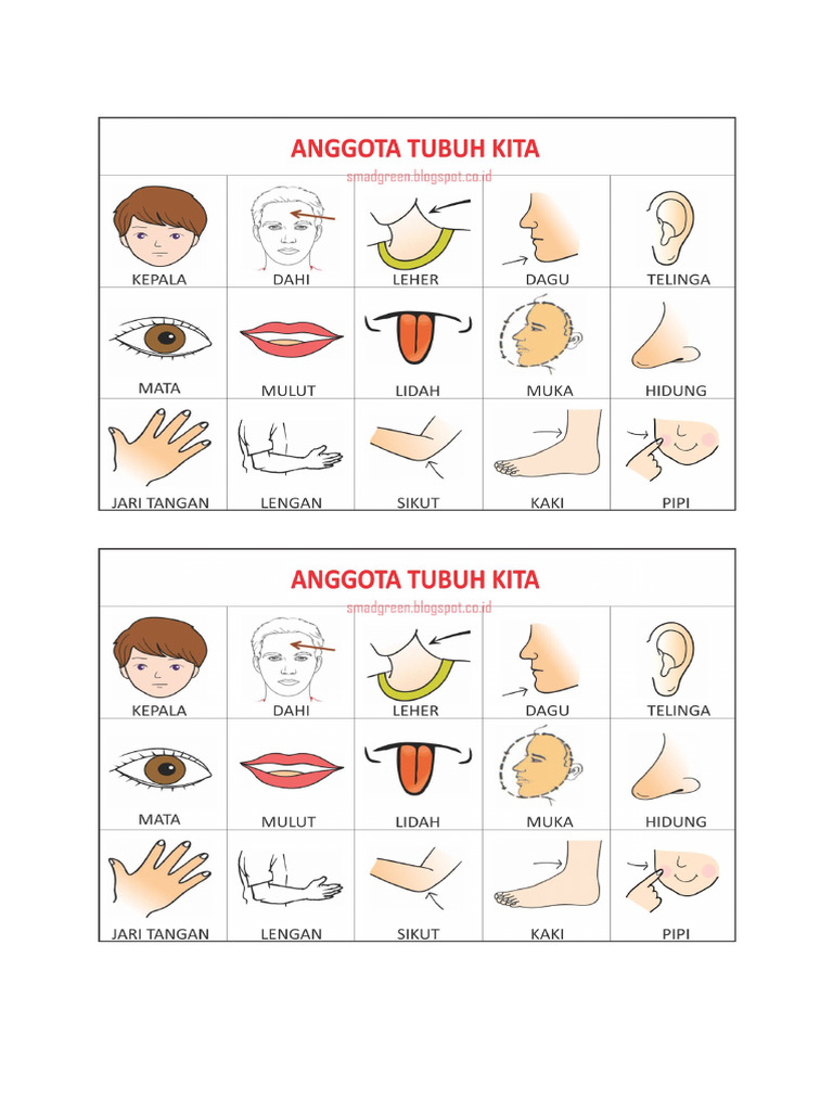 Anggota Tubuh 2023 (Bu Yeyet) | PDF