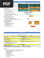 Week6 nr565 Respiratory Protocol Assignment Template | PDF | Asthma | Clinical Medicine
