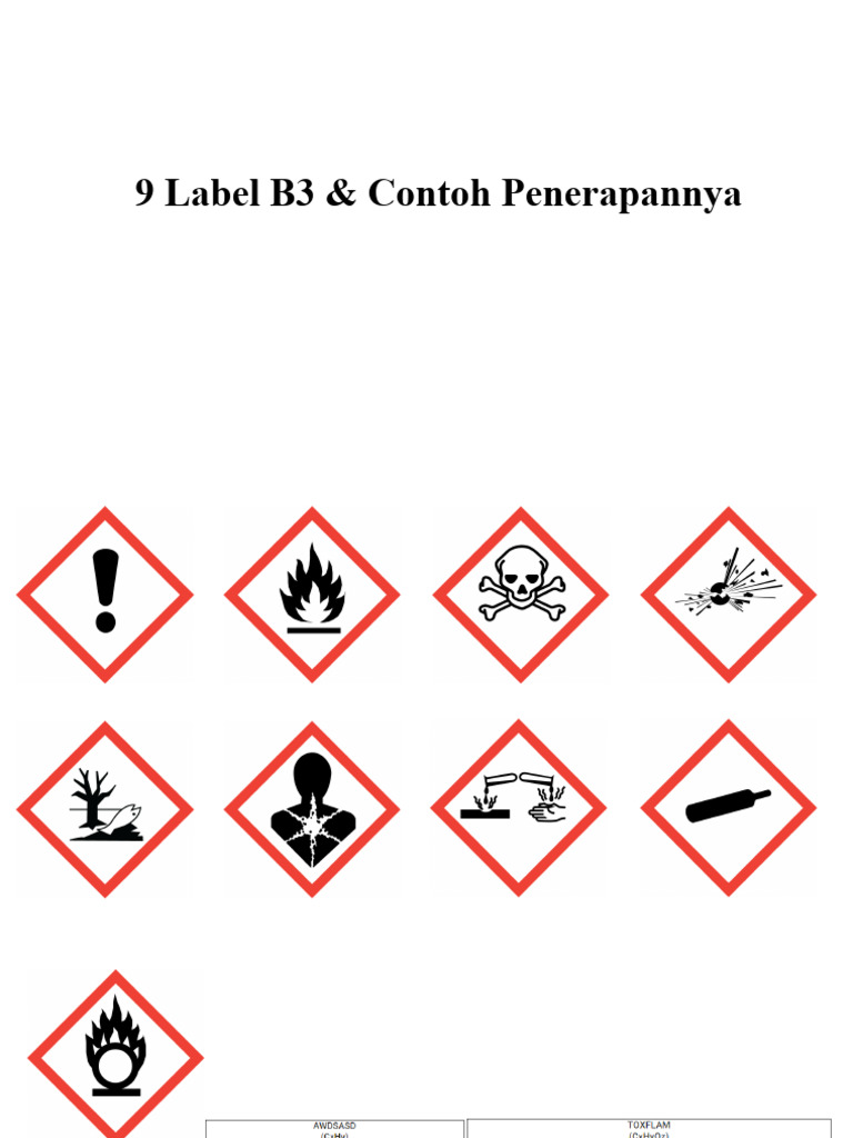 9 Label B3 & Contoh Penerapannya | PDF