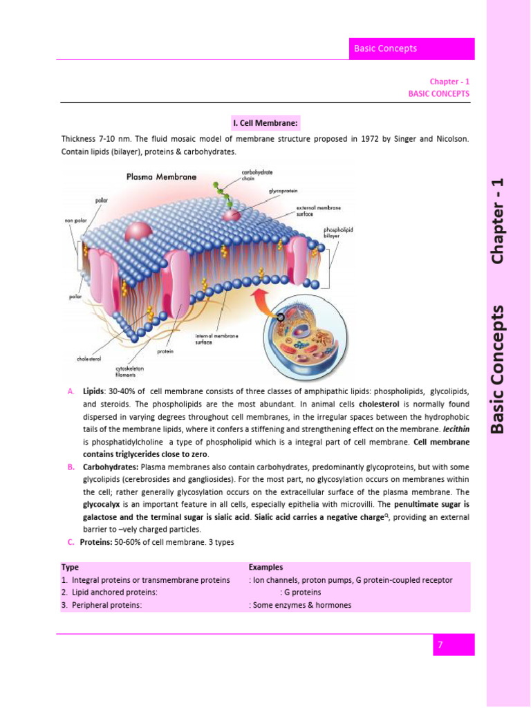 Physio Essence | Download Free PDF | Cytoskeleton | Cell Membrane