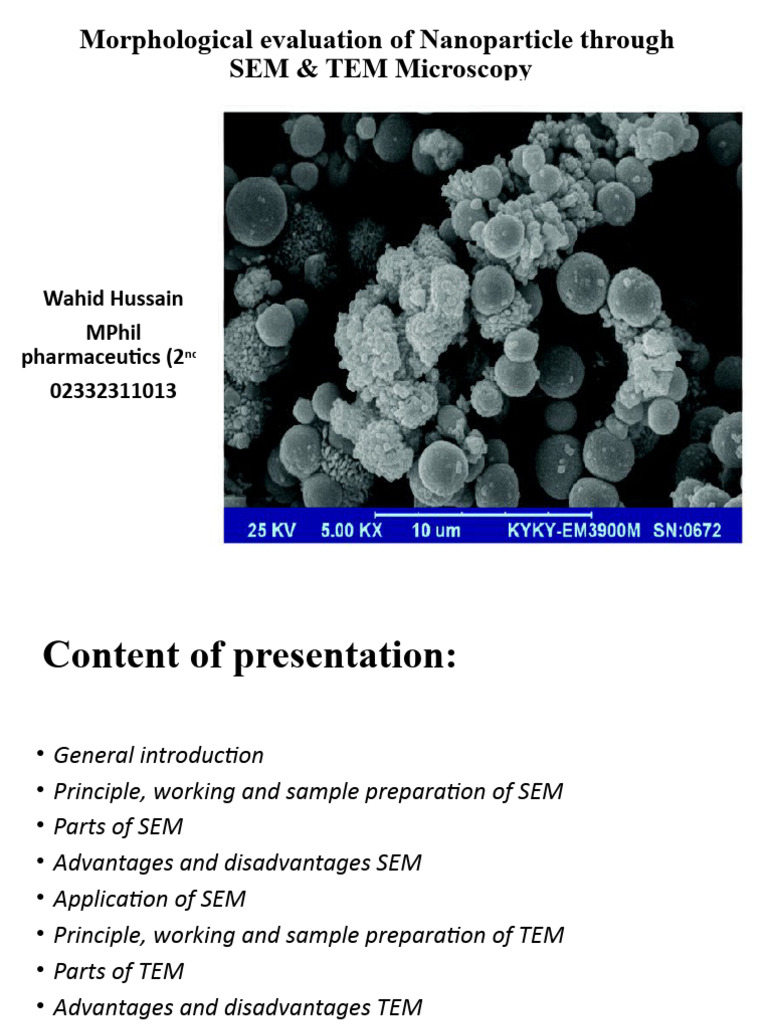 Nanoparticle Analysis via SEM & TEM | PDF