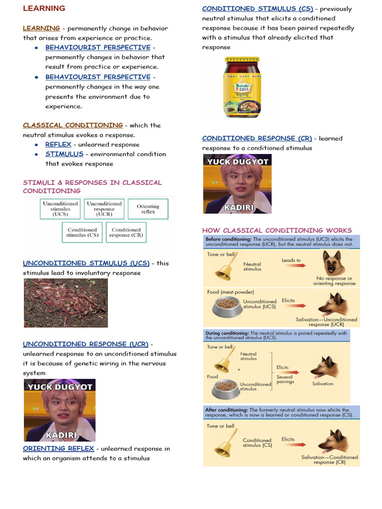 Itp - Learning and Memory | PDF | Classical Conditioning | Reinforcement