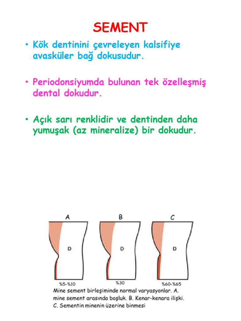 3 - Sement | PDF