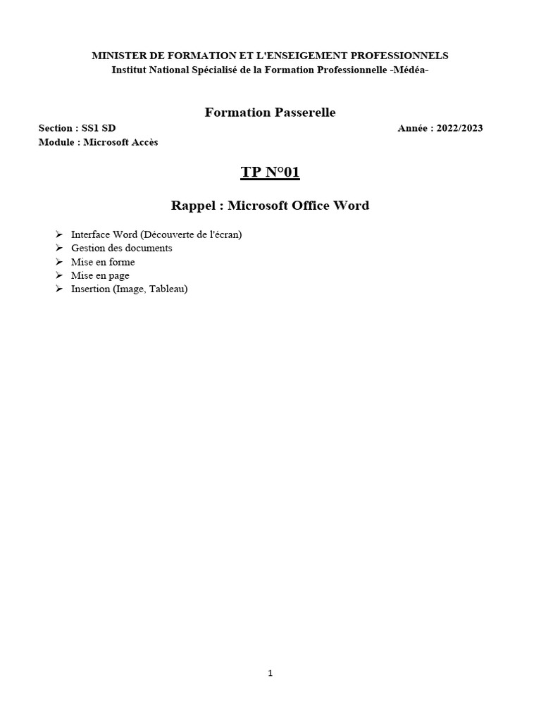 Guide Word: Interface et Gestion Docs | PDF | Microsoft Word | Mise en page