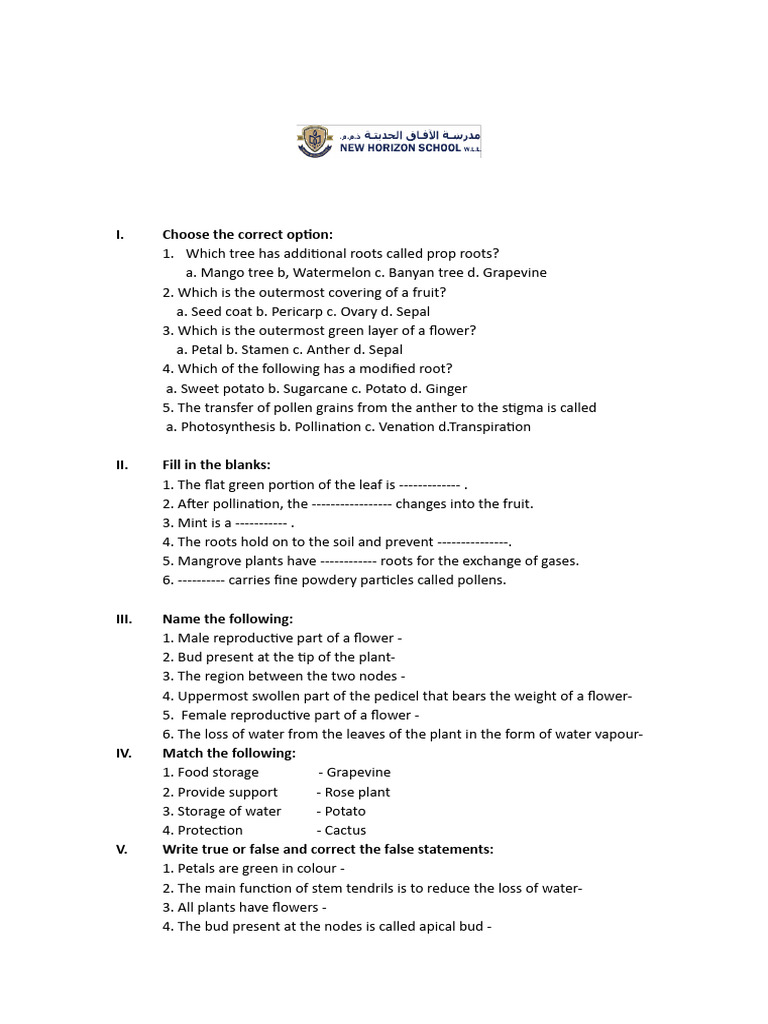 Plants WS 3 1701458165109 | PDF | Science & Mathematics