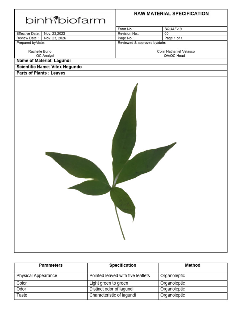 Lagundi Leaf Specifications and Uses | PDF | Medicinal Herbs And Fungi ...