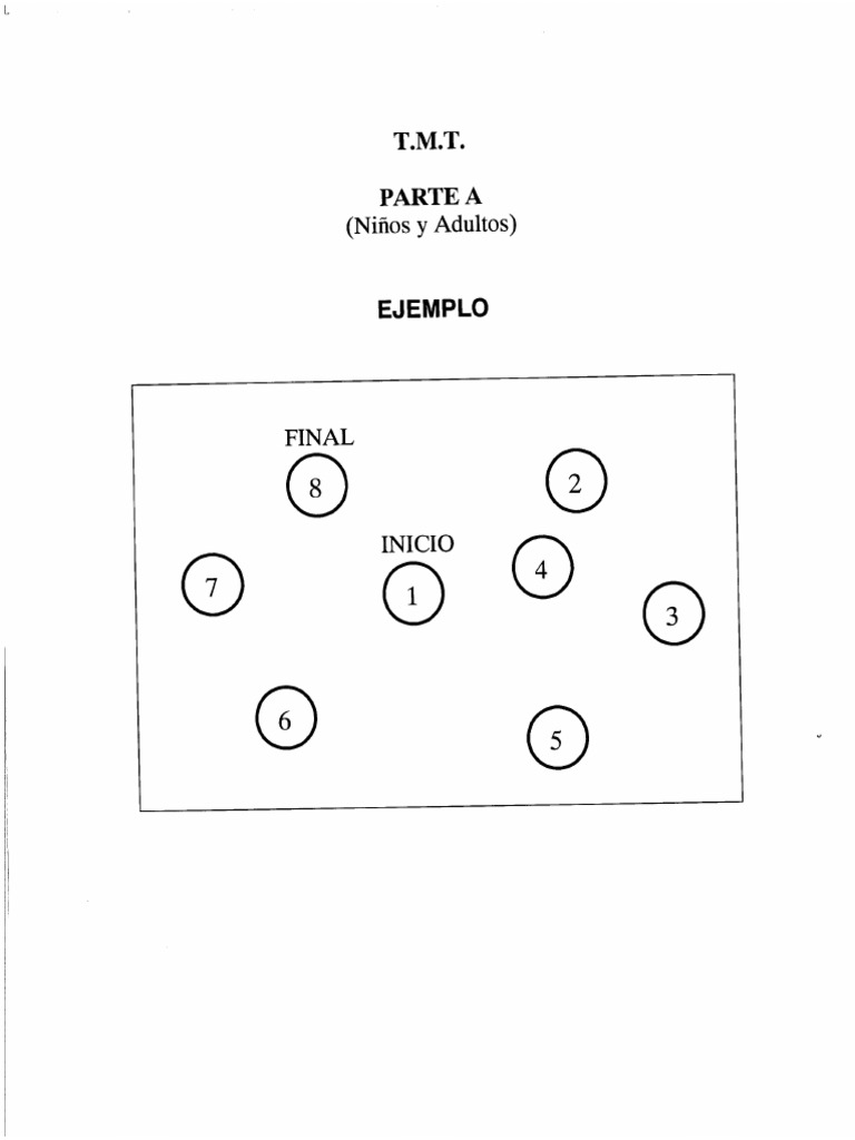 TMT A y B Versión Grande | PDF