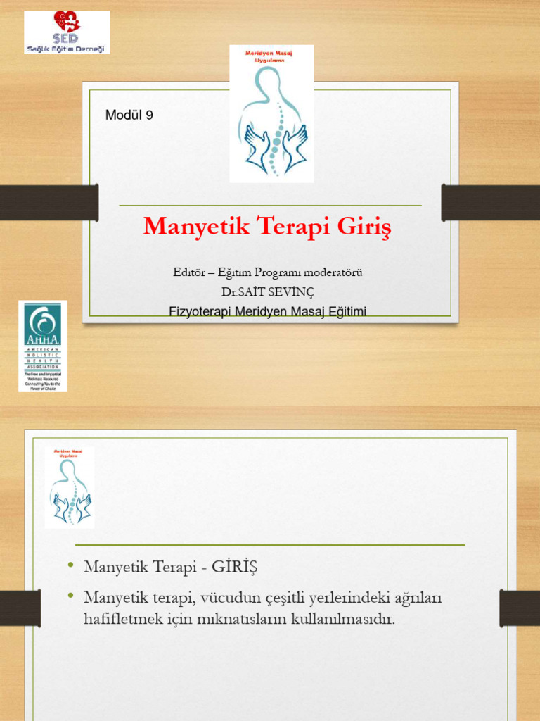 Manyetik Terapi Giriş: Modül 9 | PDF