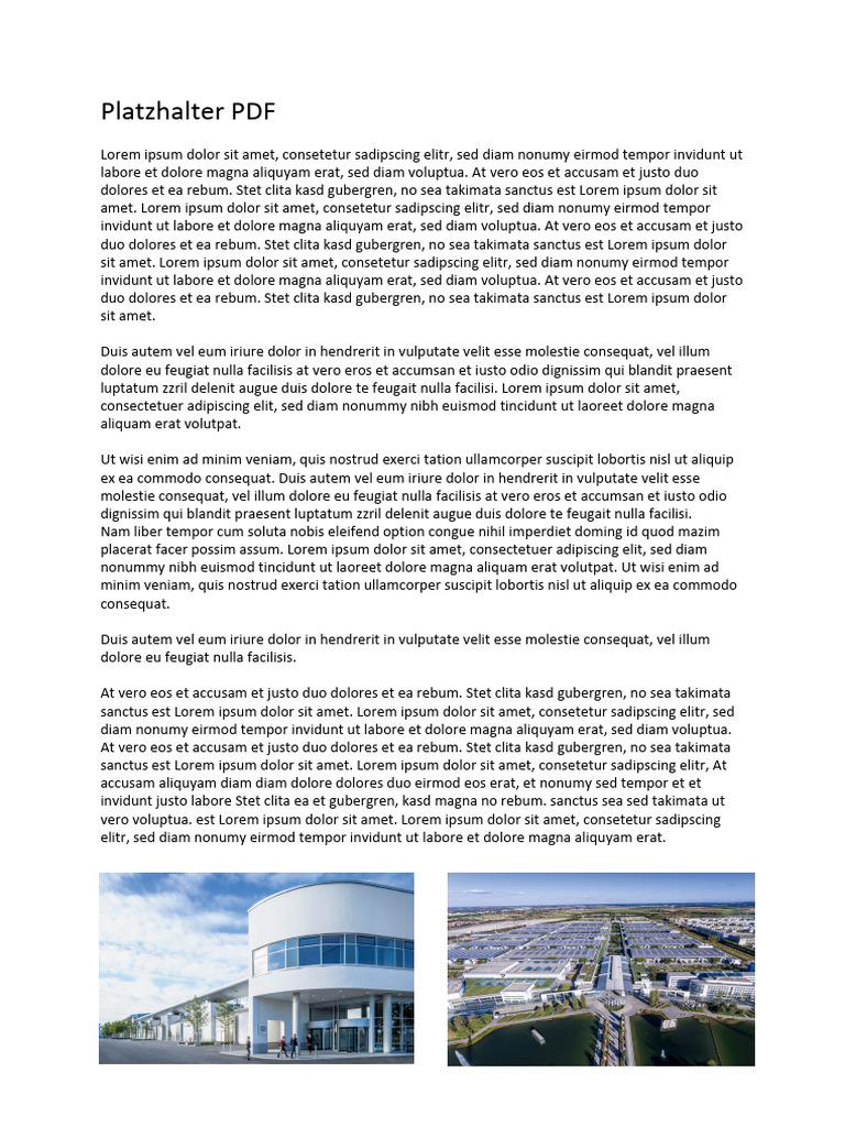 Platzhalter PDF | PDF