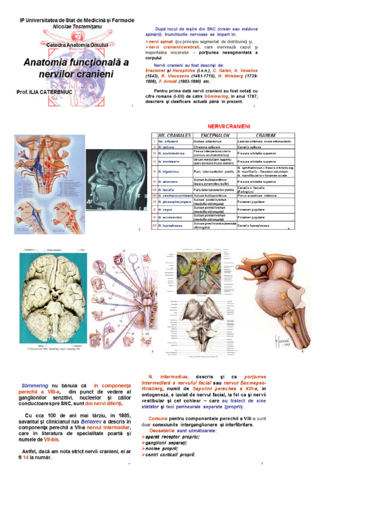 Tema Nervii Cranieni Anatomie | PDF
